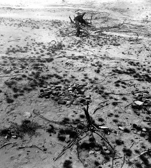 The Graham-Applegate Rancheria-Site Investigations