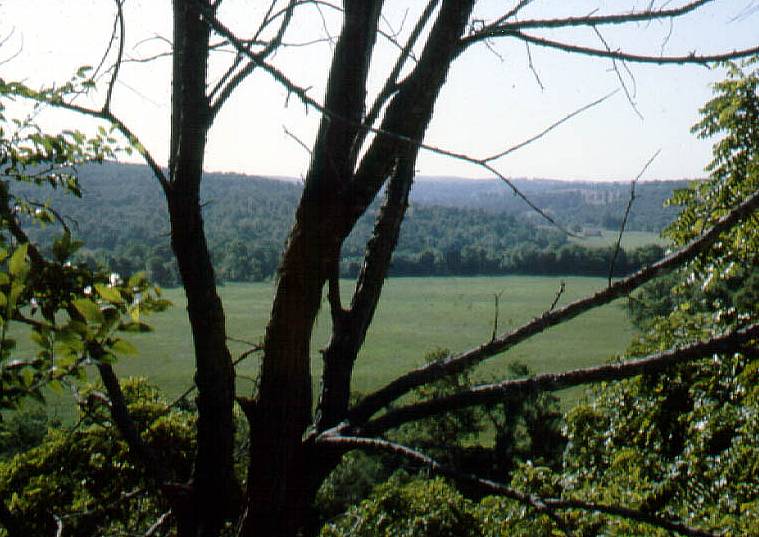 The Caddo Map Tool, Environment - Photo of Red River